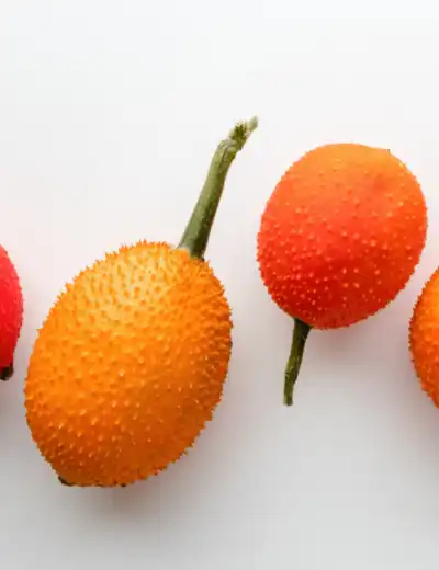Gac Fruit Singapore - Fruit From Heaven - The Heaven Fruit